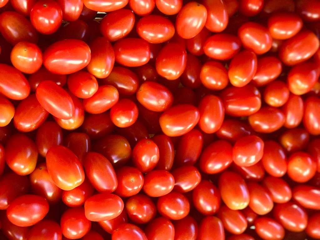 Tomate mini chucha – Humus Agricultura Biológica