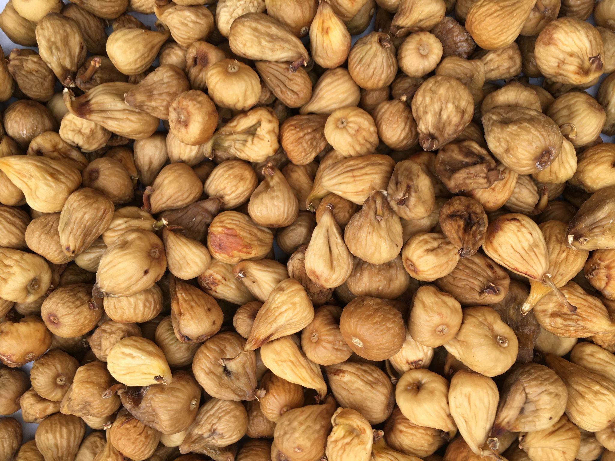 Figo Seco – Humus Agricultura Biológica