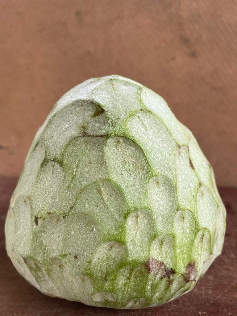 Anona – Humus Agricultura Biológica